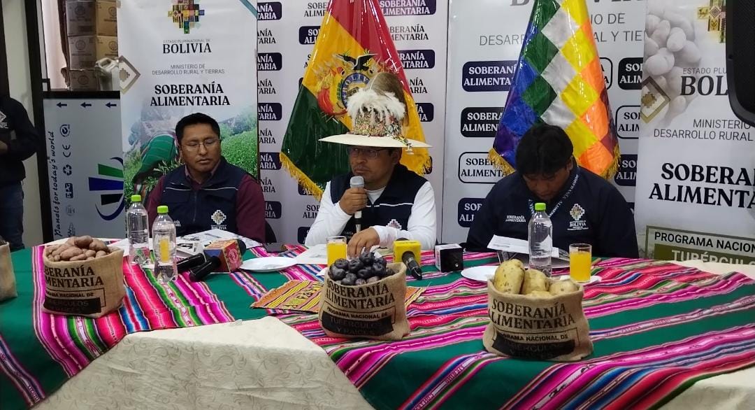 gobierno potencia la producción de papa en Potosí entregando semillas y ...